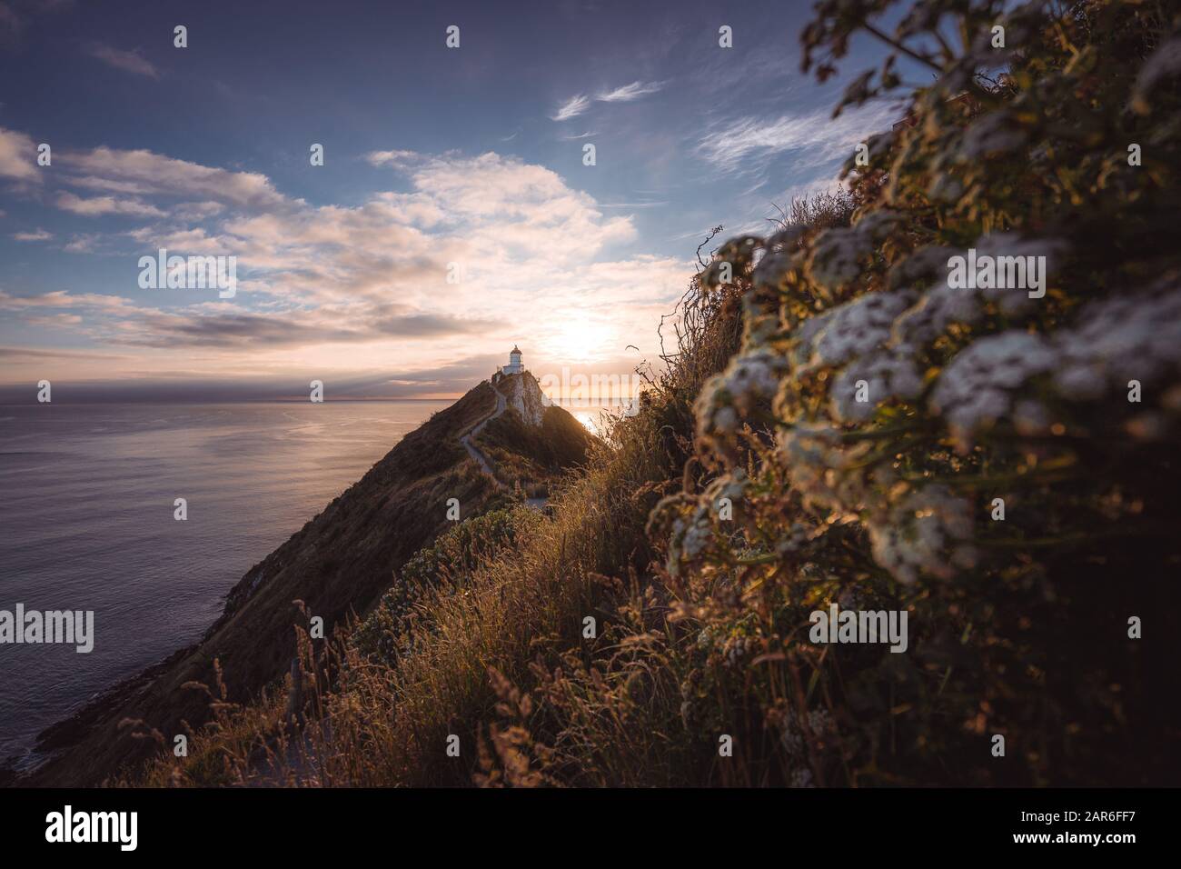 Beautiful sunrise at Nugget Point Lighthouse, New Zealand Stock Photo ...