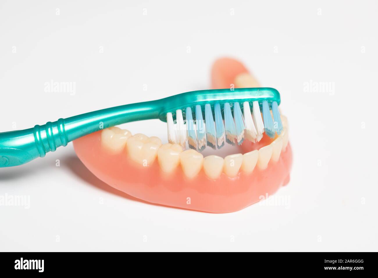 Denture and toothbrush, dental cleaning instruction, cleaning care ...