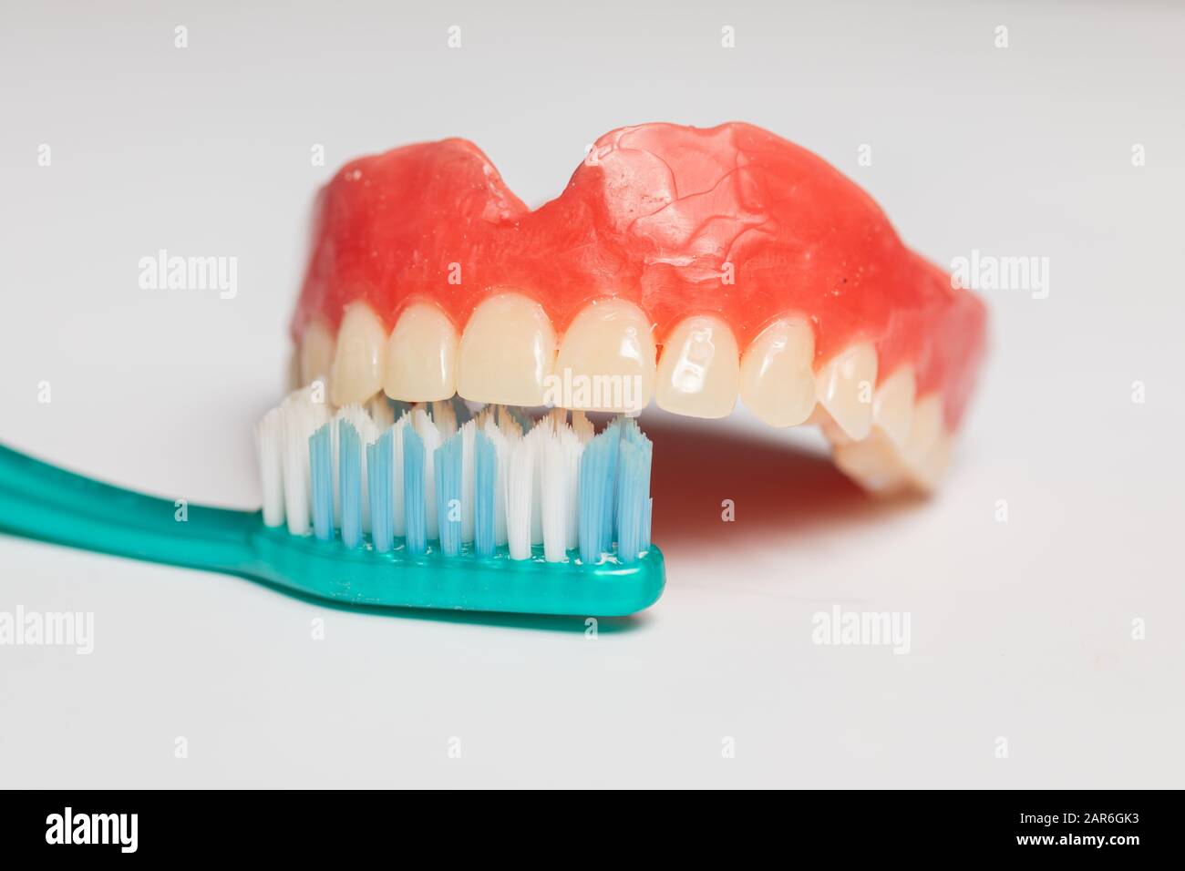 Denture and toothbrush, dental cleaning instruction, cleaning care ...