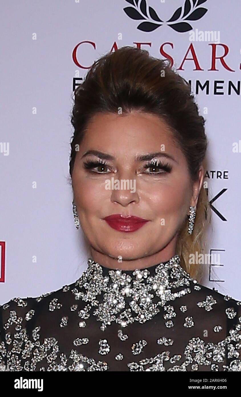 25 January 2020 - Las Vegas, NV - Shania Twain. Nevada Ballet Theatre ...