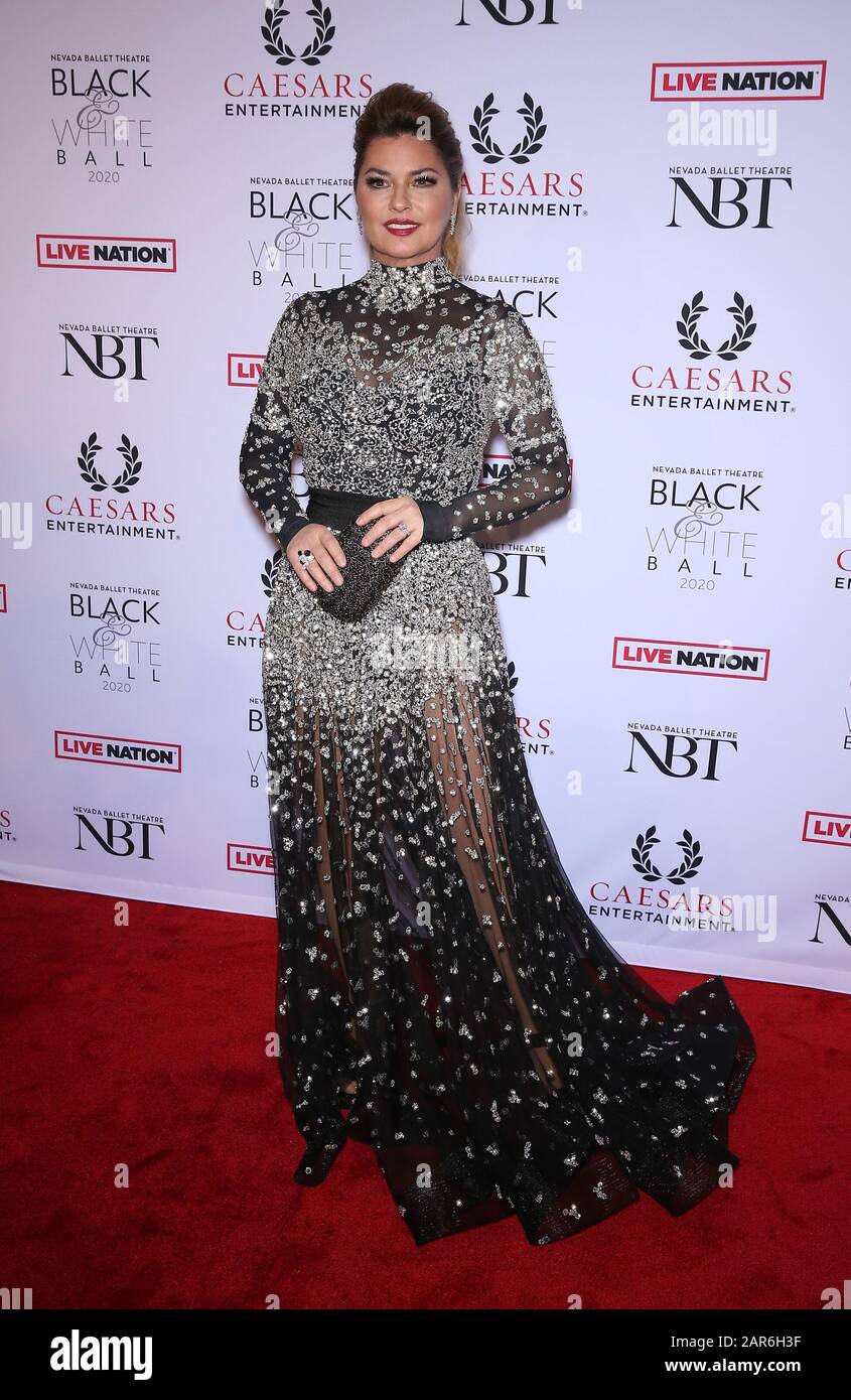 25 January 2020 - Las Vegas, NV - Shania Twain. Nevada Ballet Theatre ...