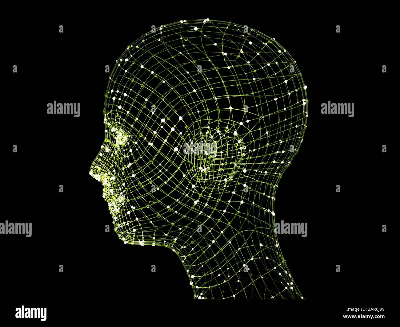 Head of the person from a 3d Grid. Human head wire model. Polygonal ...