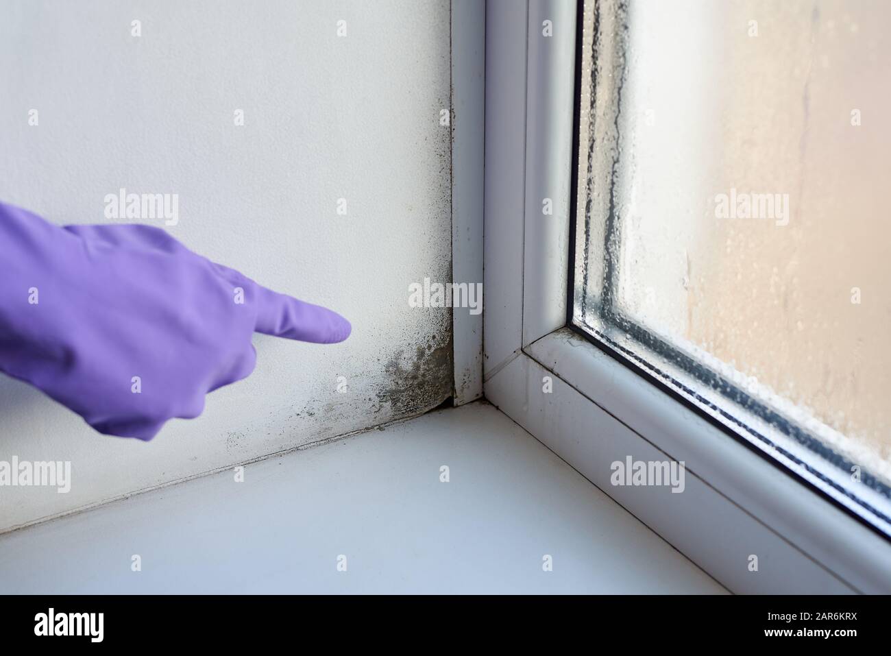 Damp problems hi-res stock photography and images - Alamy