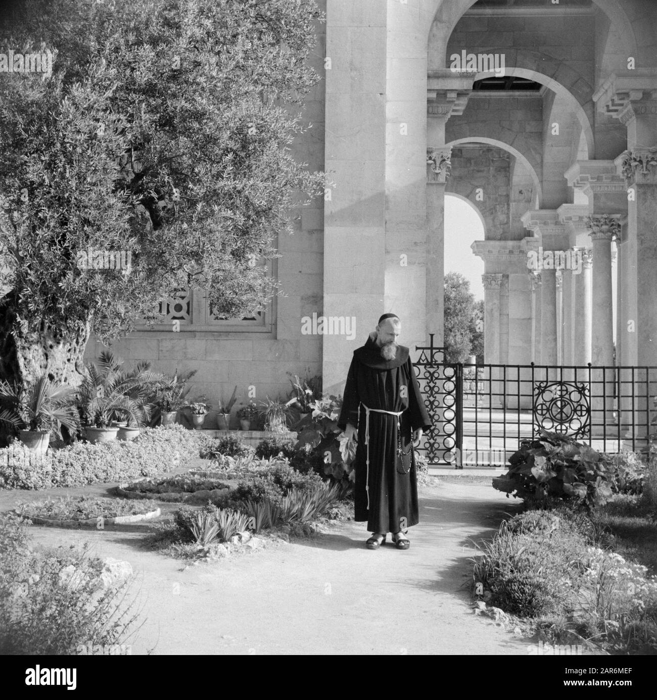 Middle East 1950-1955: Jerusalem Monk in the garden of the Church of ...