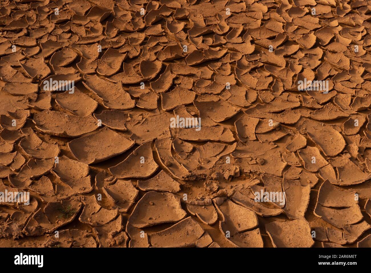 cracked earth in a drought in morocco Stock Photo - Alamy