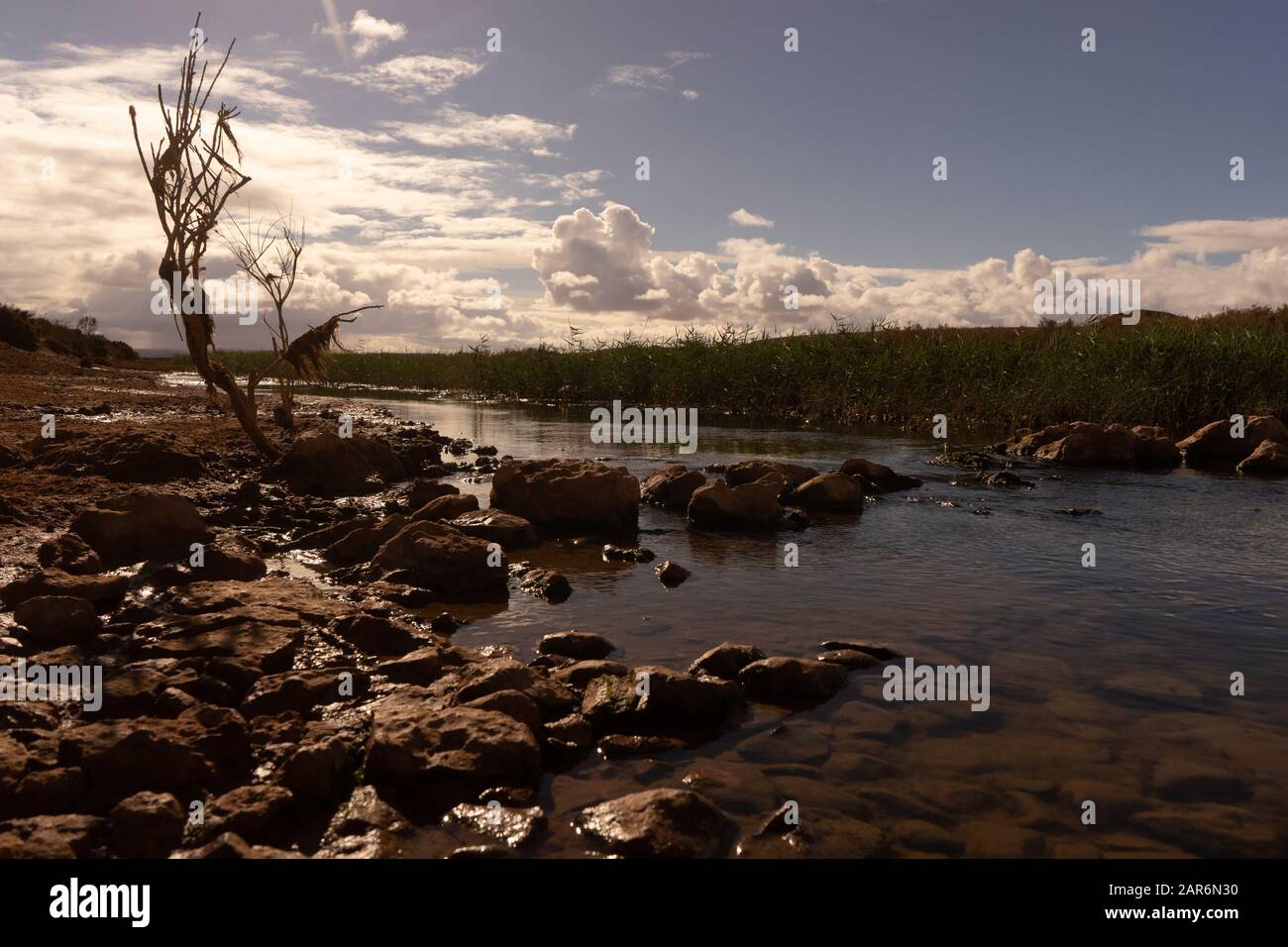 Ford expedition hi-res stock photography and images - Alamy