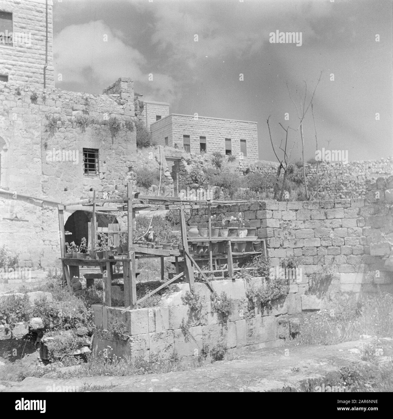 Israel 1948-1949: Galilee Wall with vegetation and rack with potted ...