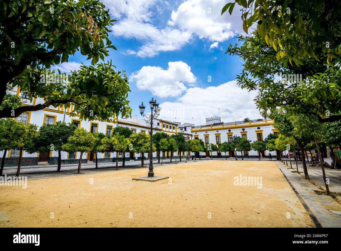 Trees streetlight hi-res stock photography and images - Alamy