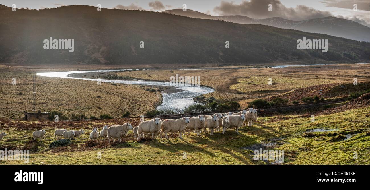 road to Achnasheen Stock Photo - Alamy