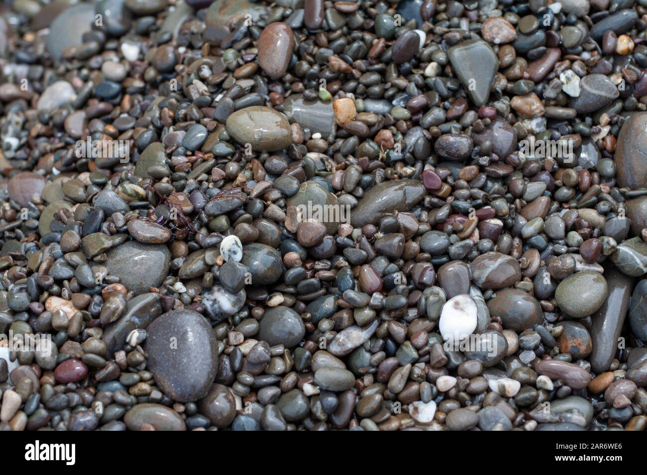sea pebbles colored granite on the beach background stones. The shore ...