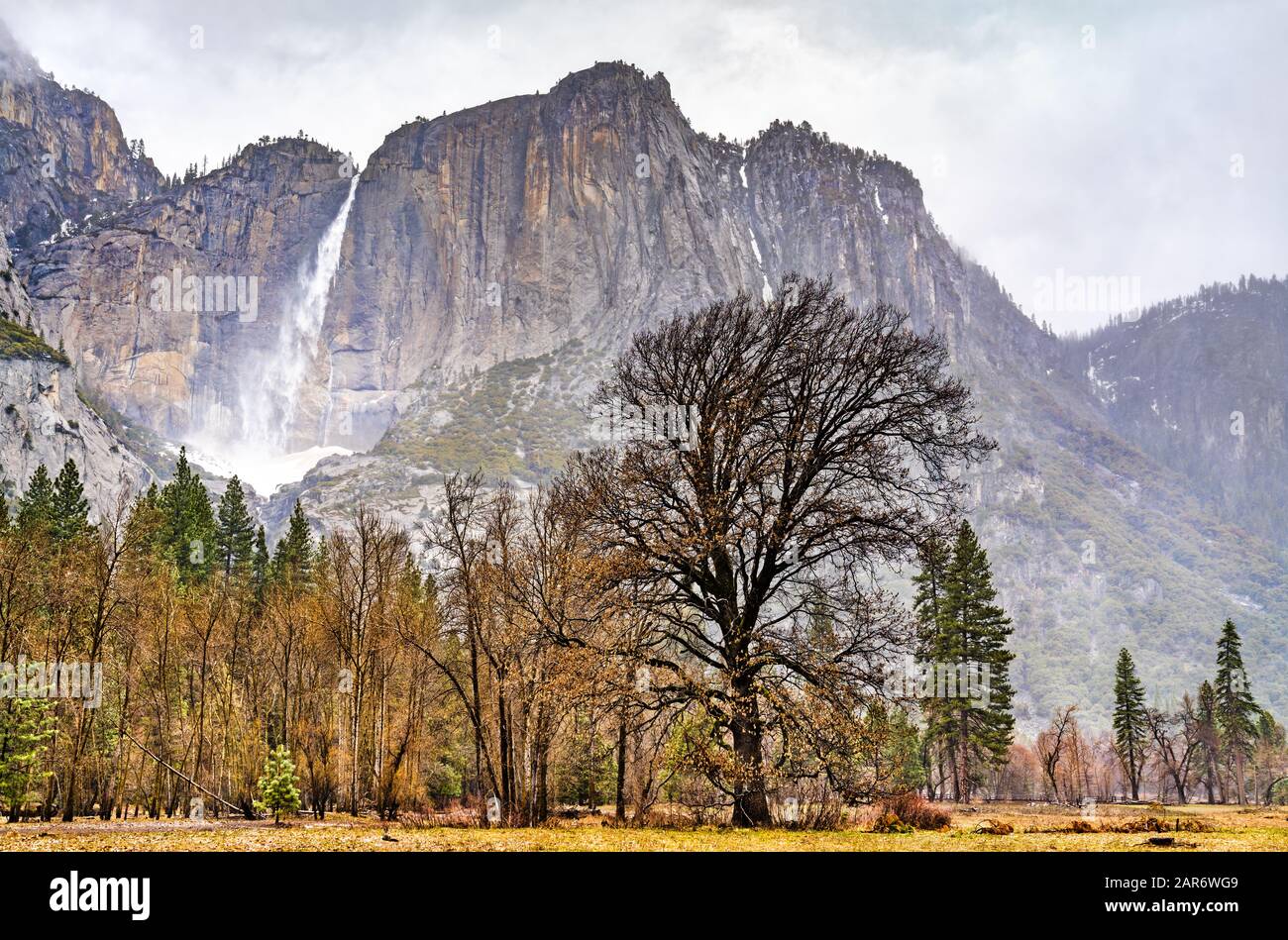 Yosemite falls is the highest waterfall in yosemite national park hi ...