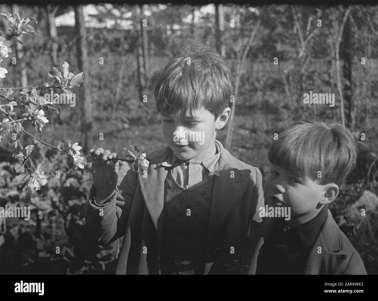 Dutch boys in England Date: 1943 Location: Great Britain Keywords: boys ...