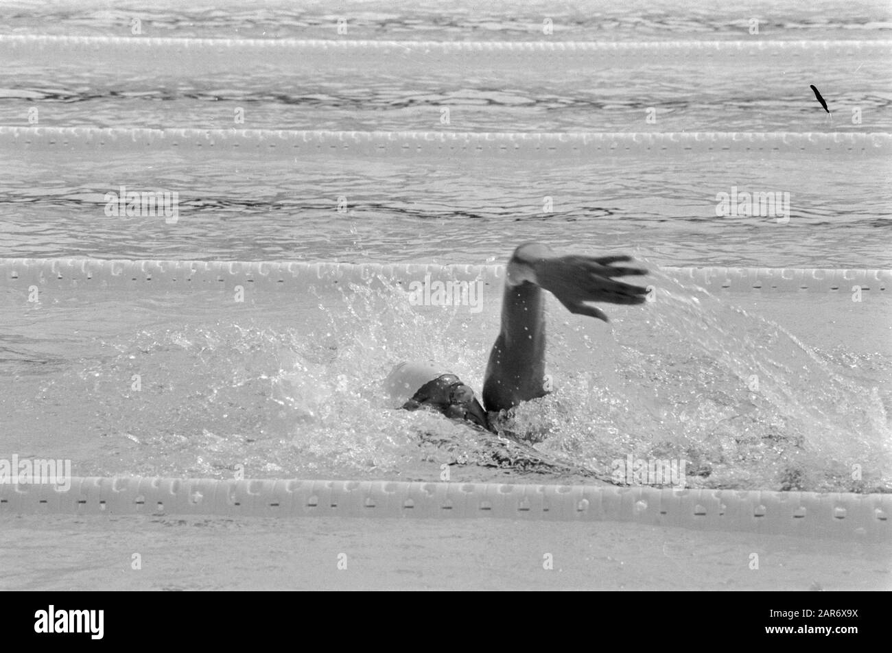 Dutch swimming championships in Den Hommel; Enith Brigitha Date: July ...