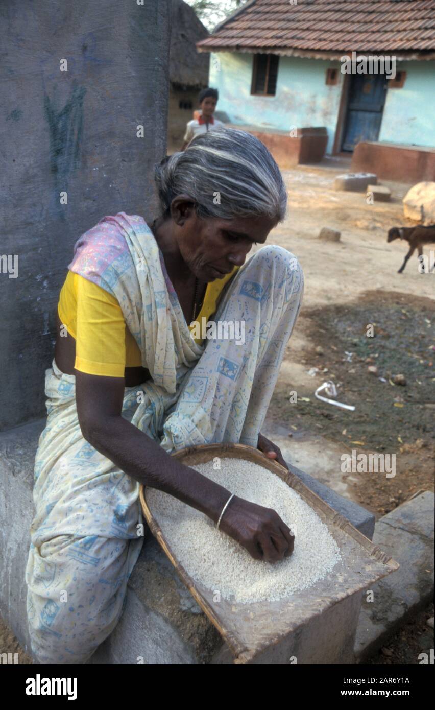 Woman cleaning rice hi-res stock photography and images - Alamy