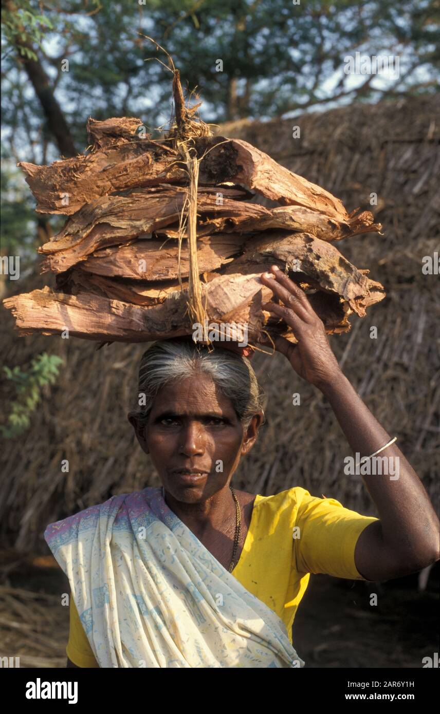 India harijan hi-res stock photography and images - Alamy