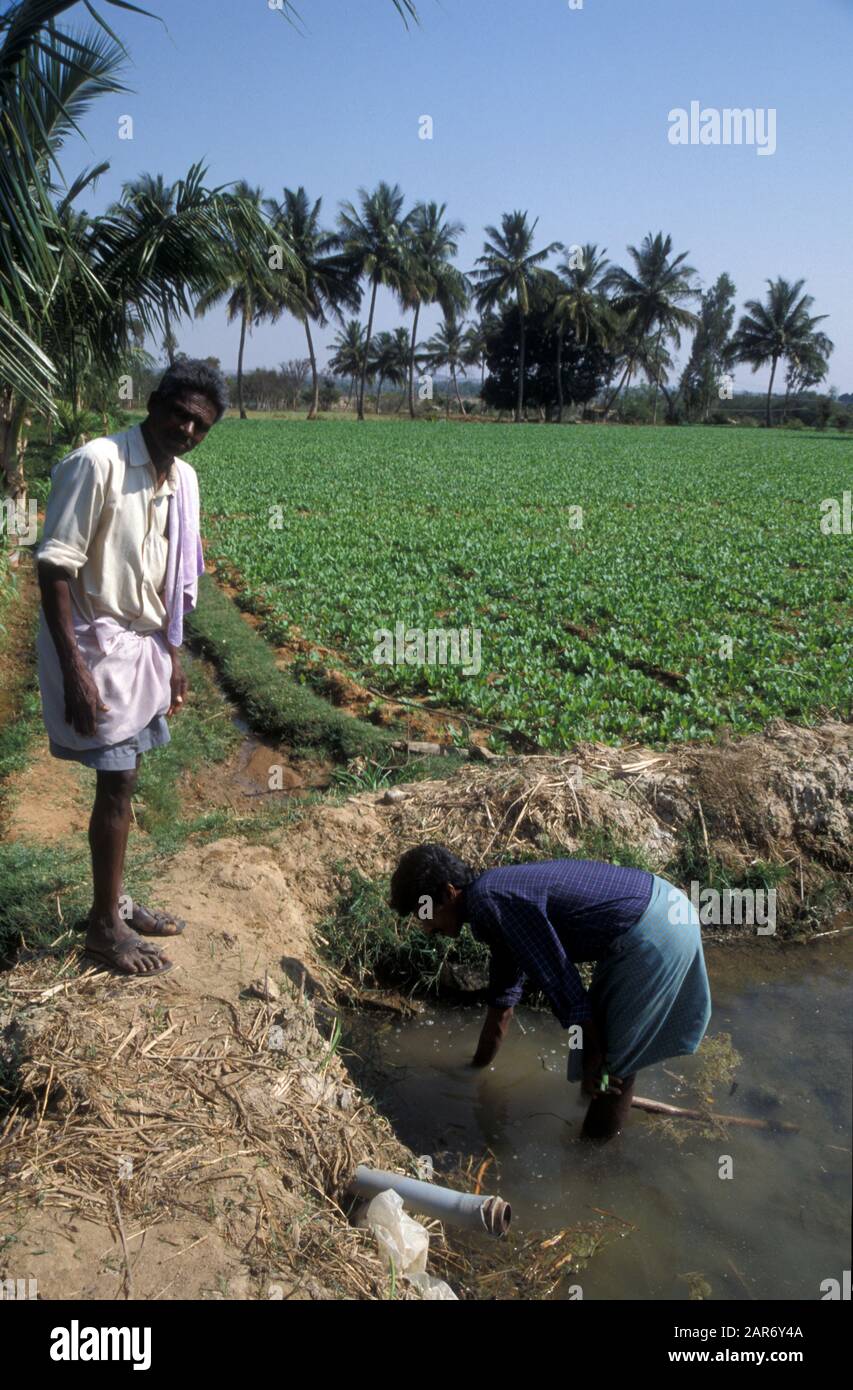 INDIA Farmers of Karnataka, irrigation Stock Photo - Alamy