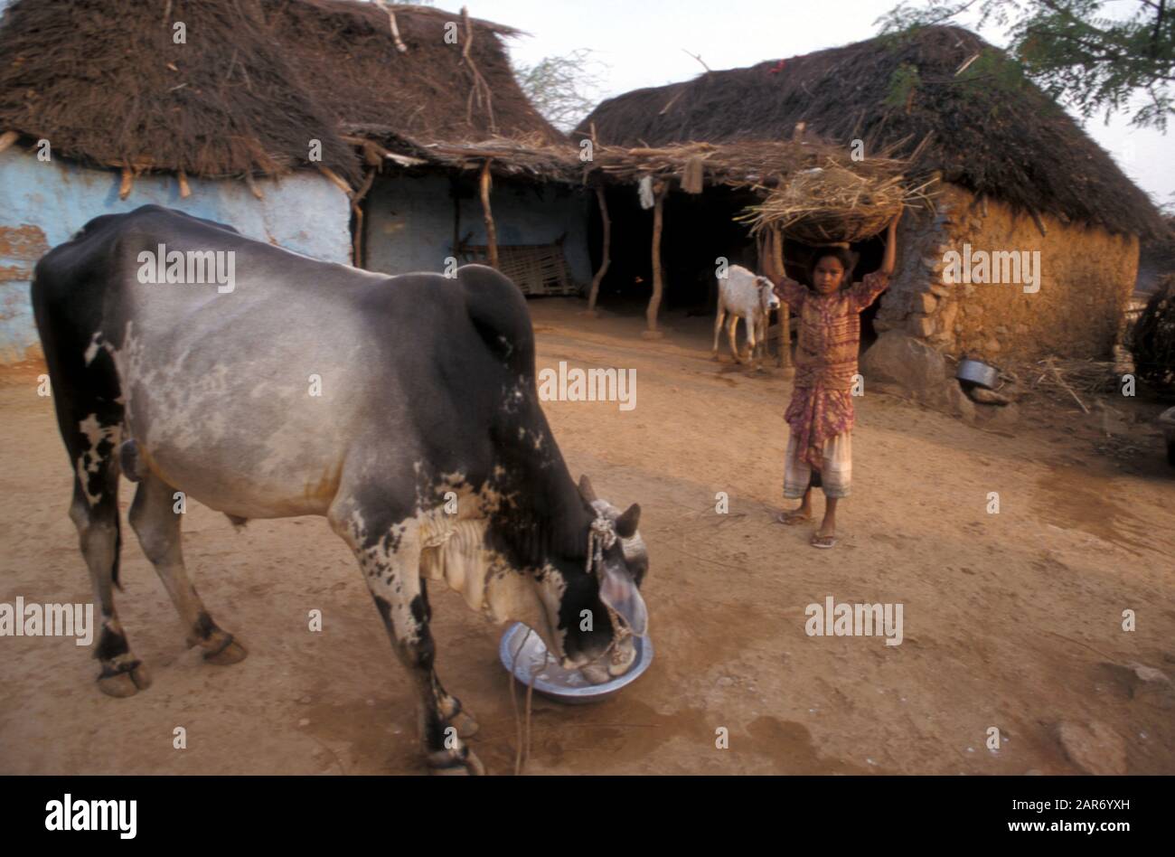 INDIA LAMBADA TRIBAL SCENE MULATHANDA ANDHRA PRADESH Stock Photo - Alamy