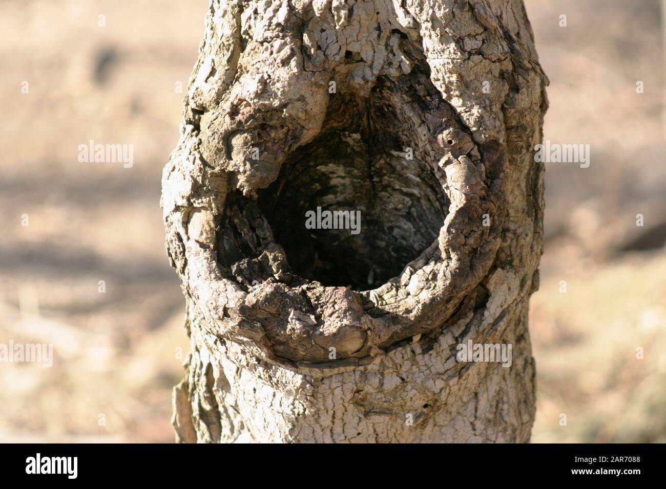 Hollow shape hi-res stock photography and images - Alamy
