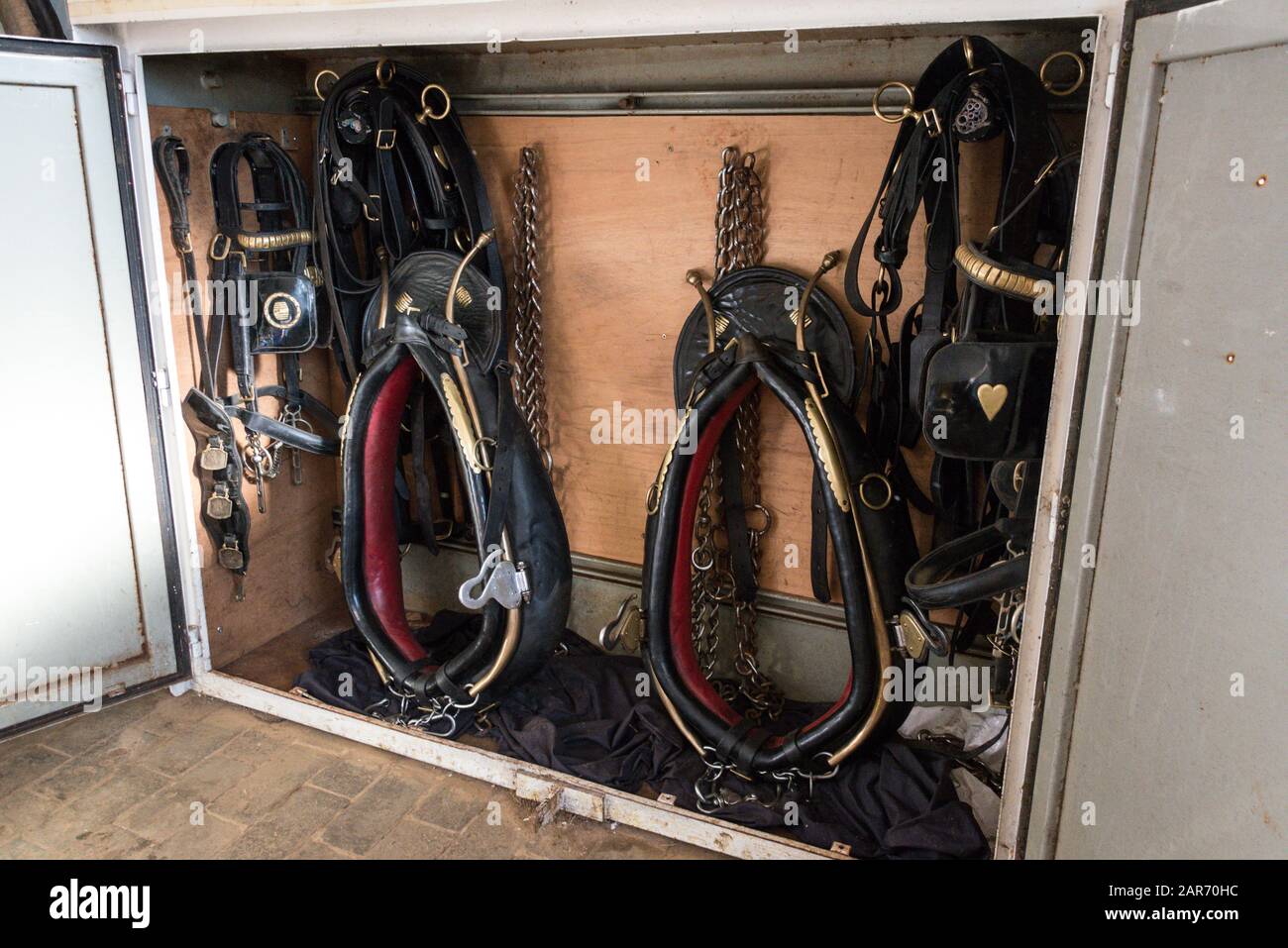 A storage cabinet of Shire horse cart harnesses in the stable tack room ...