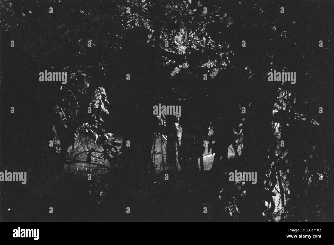 Borneo (1947 February) Jungle Date: February 1947 Location: Borneo ...