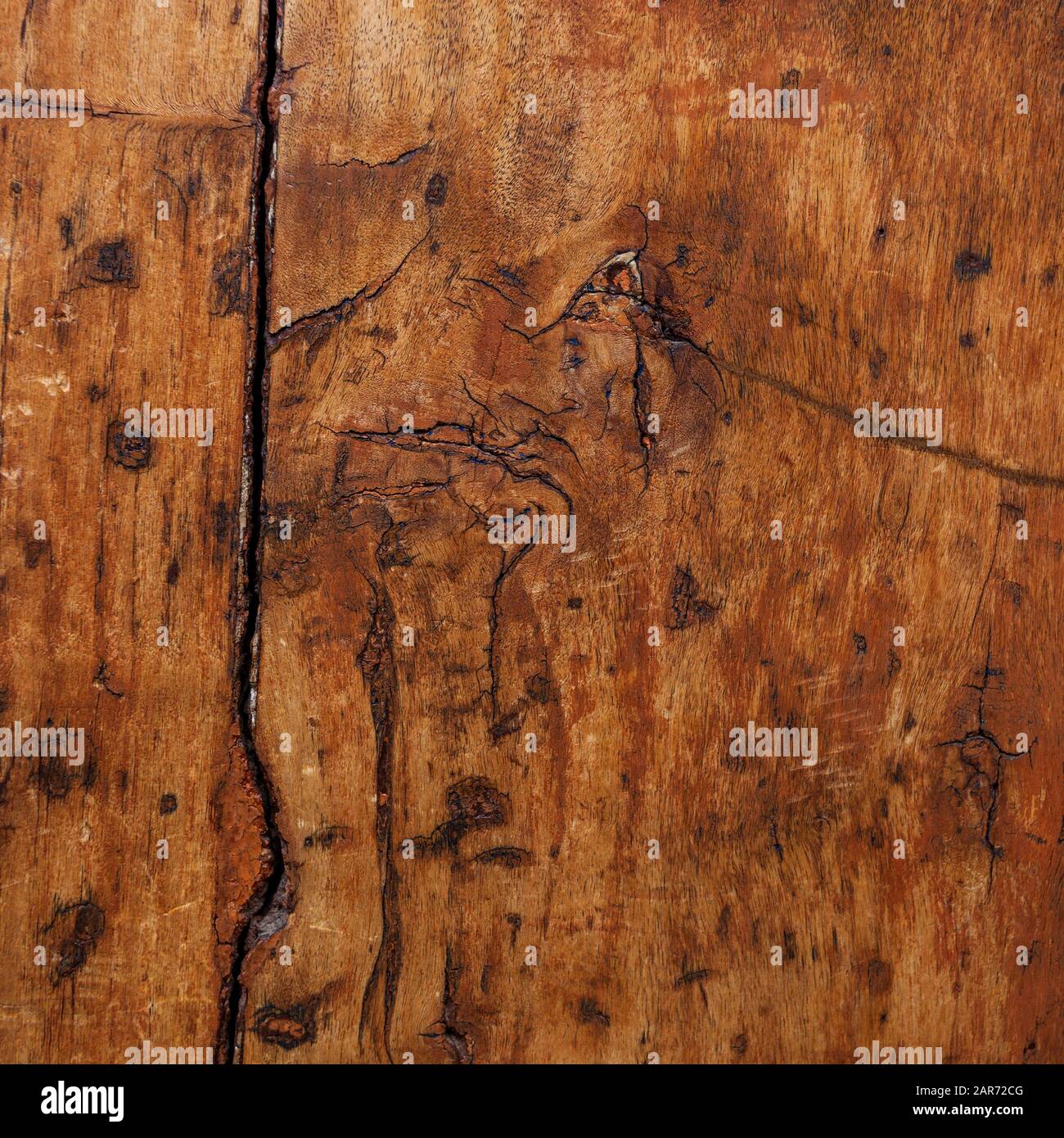Dark brown natural wood texture, old cracked tree, background, copy ...