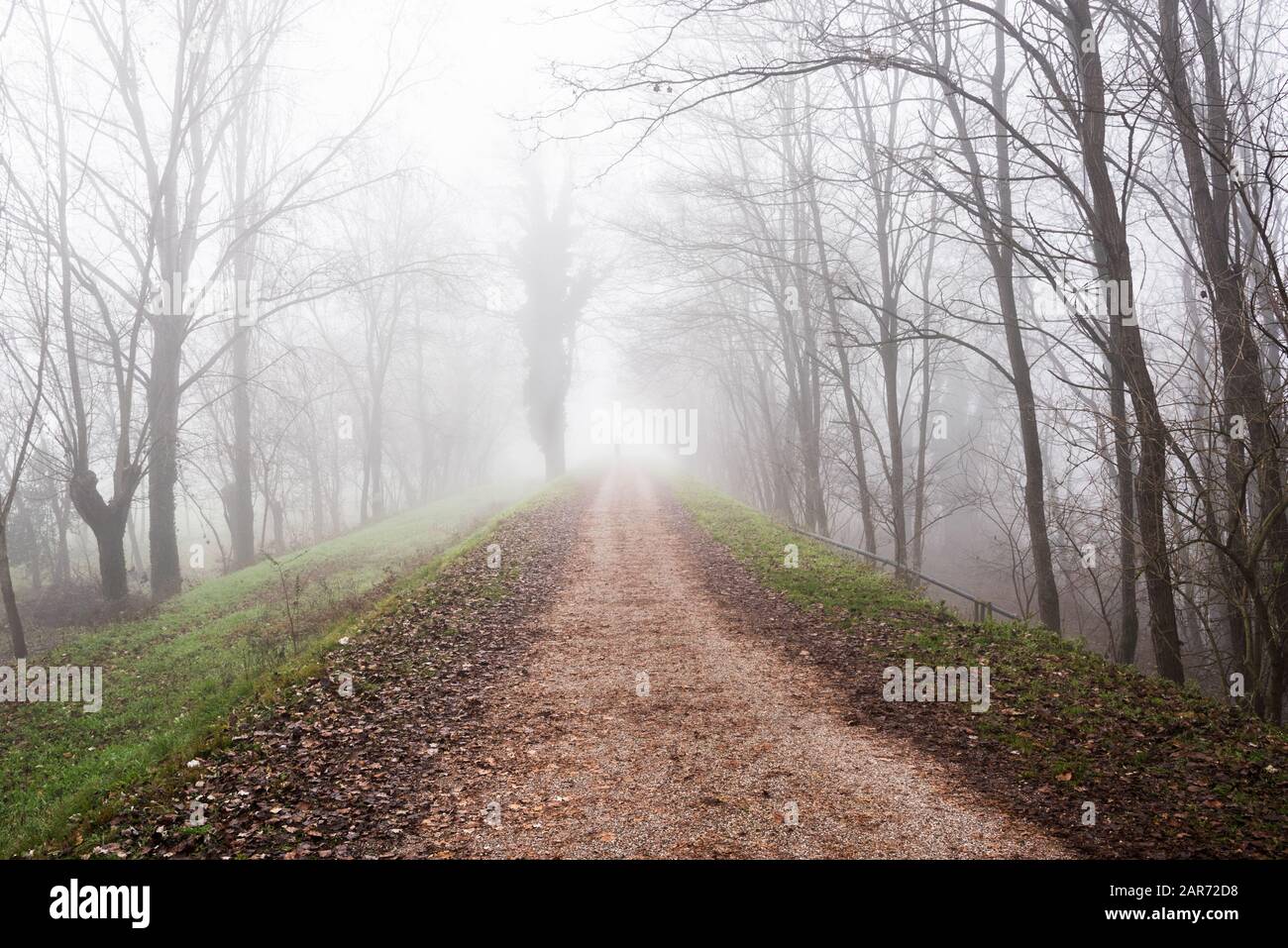 Path covered with thick fog in the countryside on a winter morning. A ...