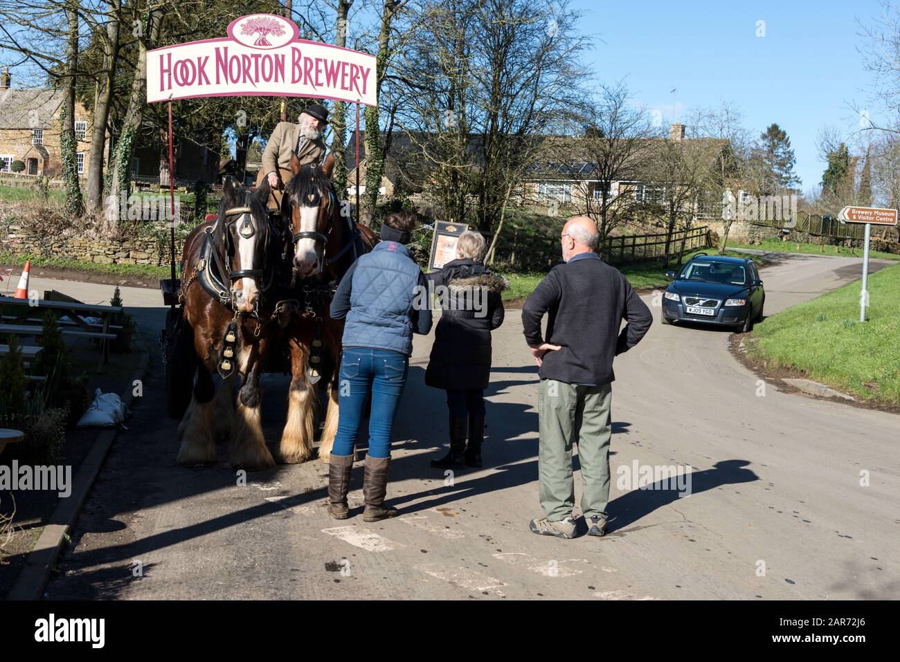 Dray horses beer hi-res stock photography and images - Alamy