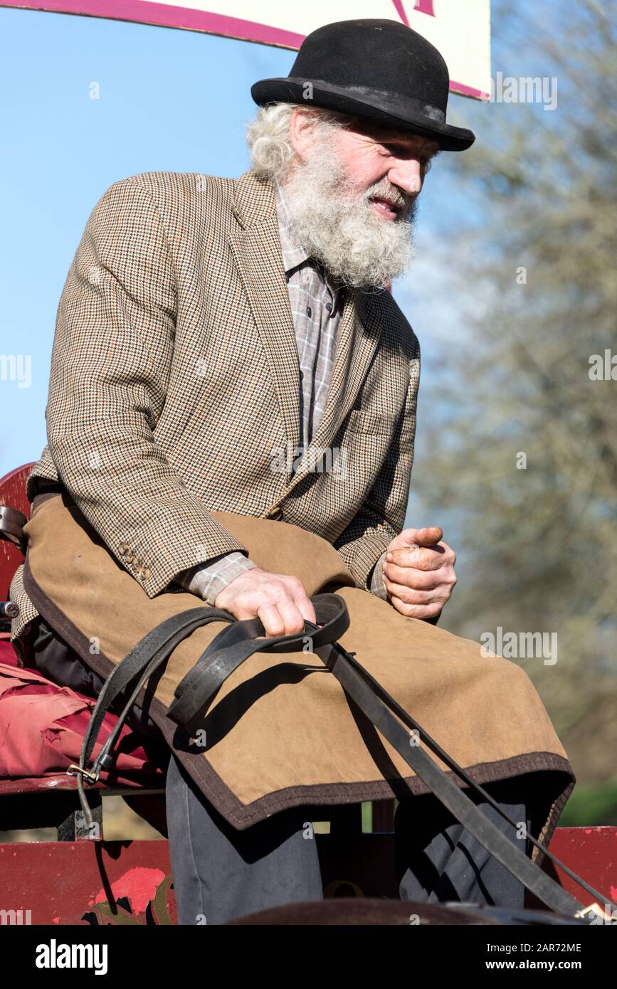 Dray horses beer hi-res stock photography and images - Alamy