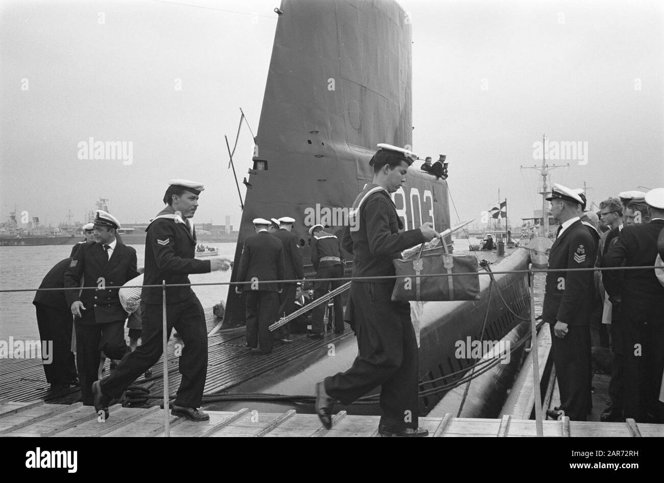 Submarine Sea lion back from New Guinea Date: September 12, 1962 ...