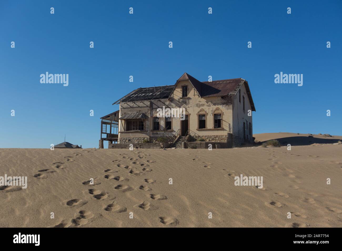 Abandoned and forgotten building and room being taken over by ...