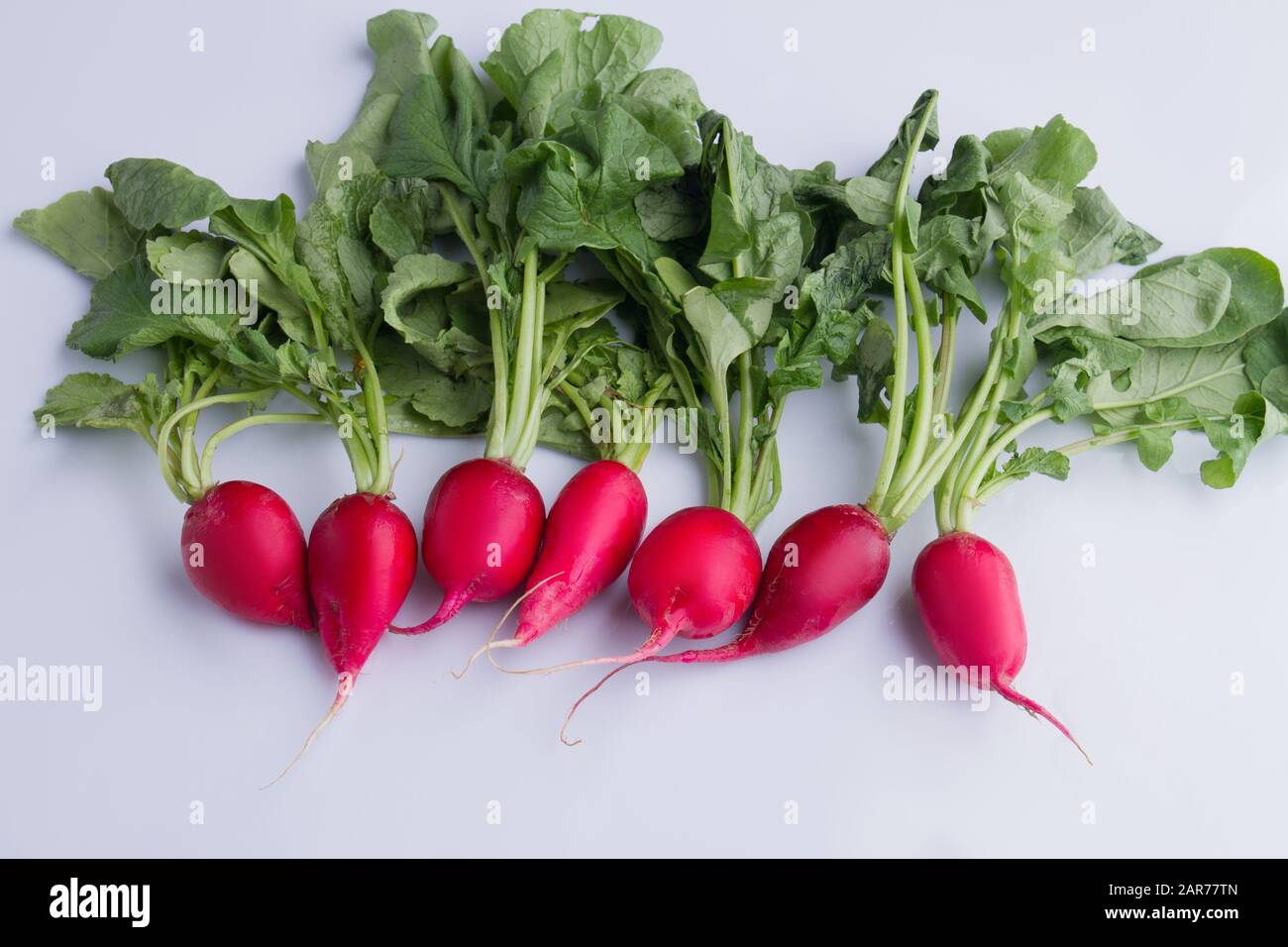 Redish background hi-res stock photography and images - Alamy