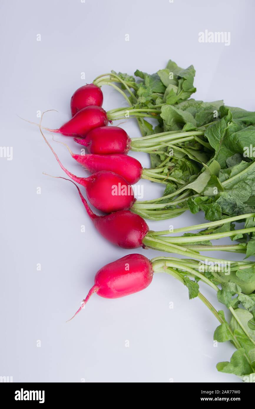 Redish background hi-res stock photography and images - Alamy