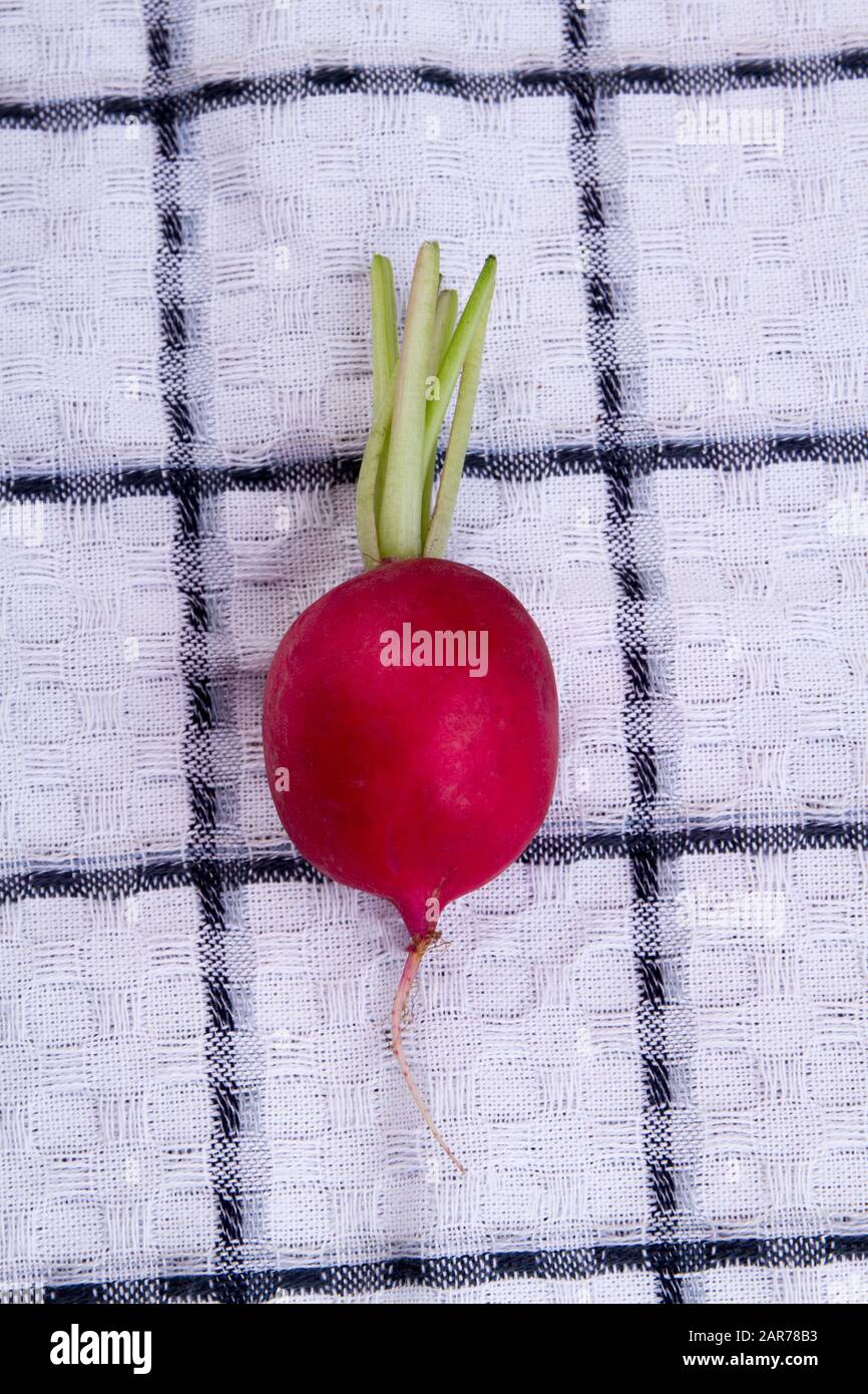 Radish texture hi-res stock photography and images - Alamy
