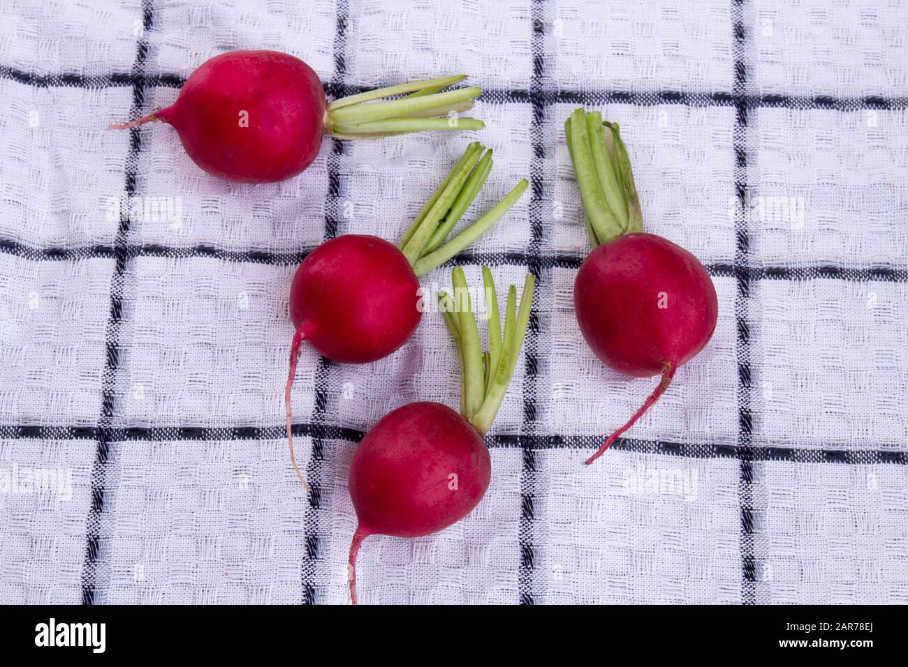 Four ripe radishes, top view Stock Photo - Alamy