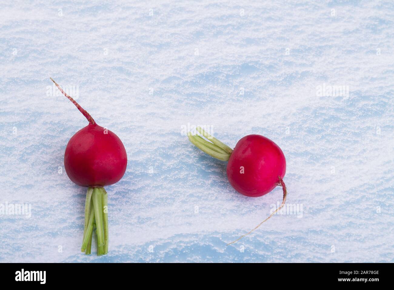 Two fresh clean radishes Stock Photo - Alamy