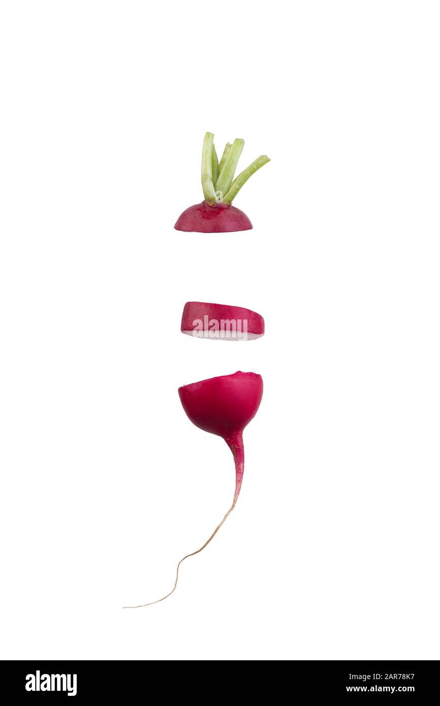 Garden radish cuth into three parts Stock Photo - Alamy
