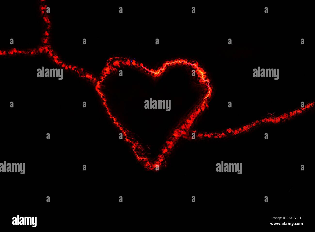 Red electric discharge in the form of a heart on a black background ...