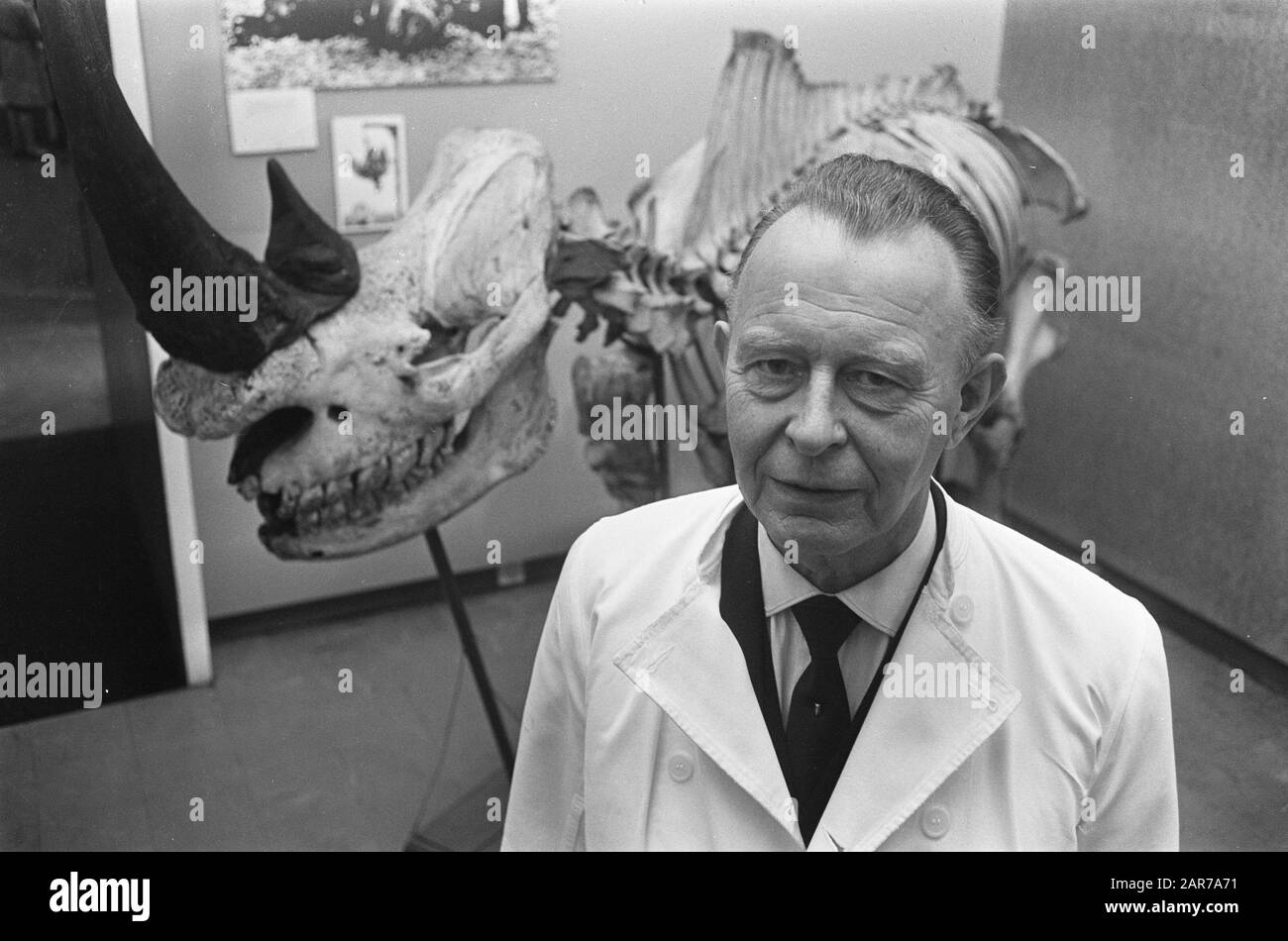 Professor engel hi-res stock photography and images - Alamy