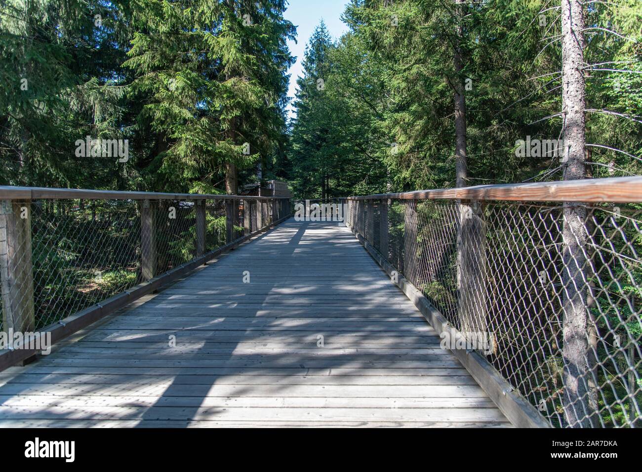 Tree tower, Tree Top Walk, Bavarian Forest National Park, Neuschönau ...