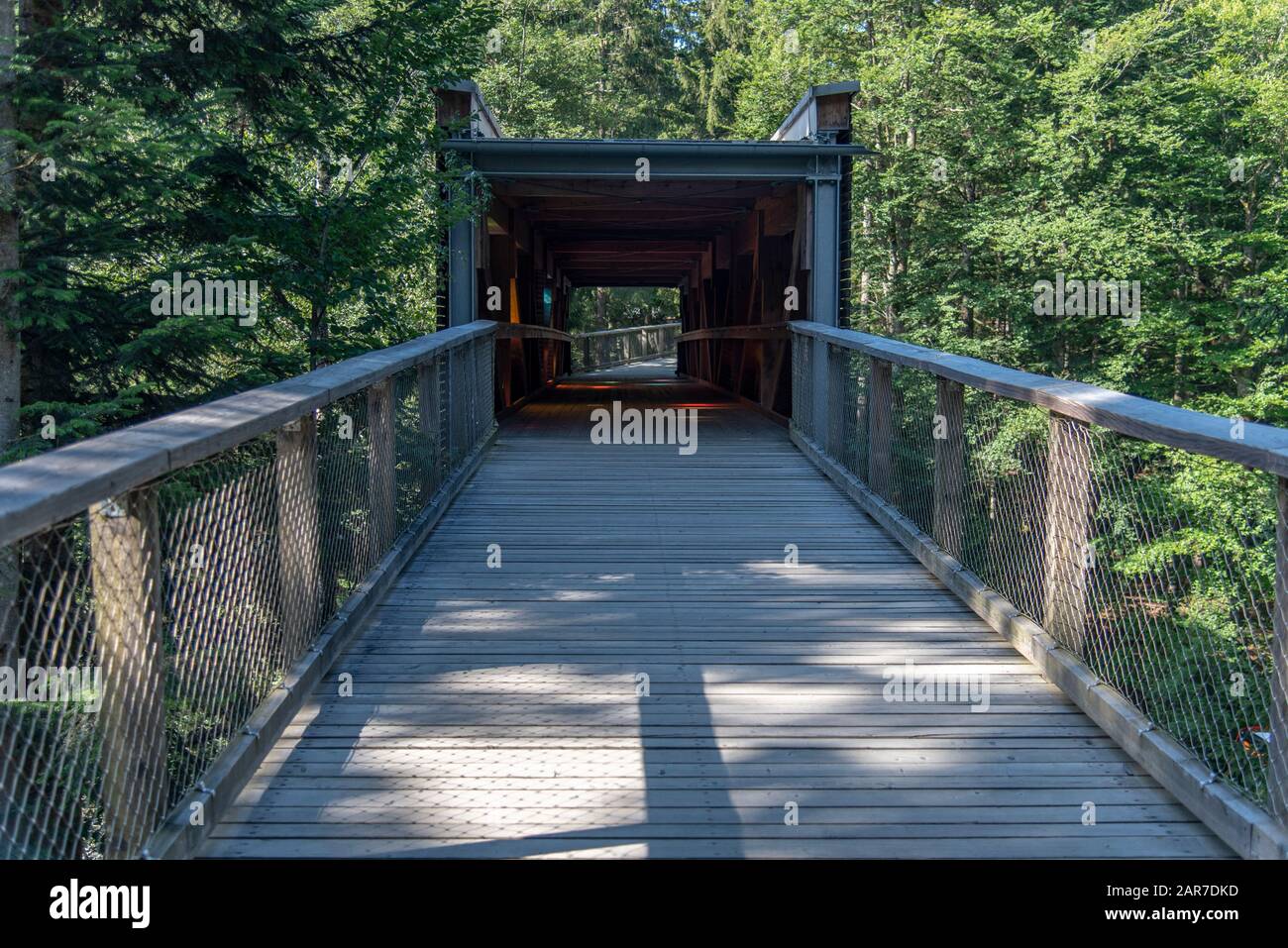 Tree tower, Tree Top Walk, Bavarian Forest National Park, Neuschönau ...
