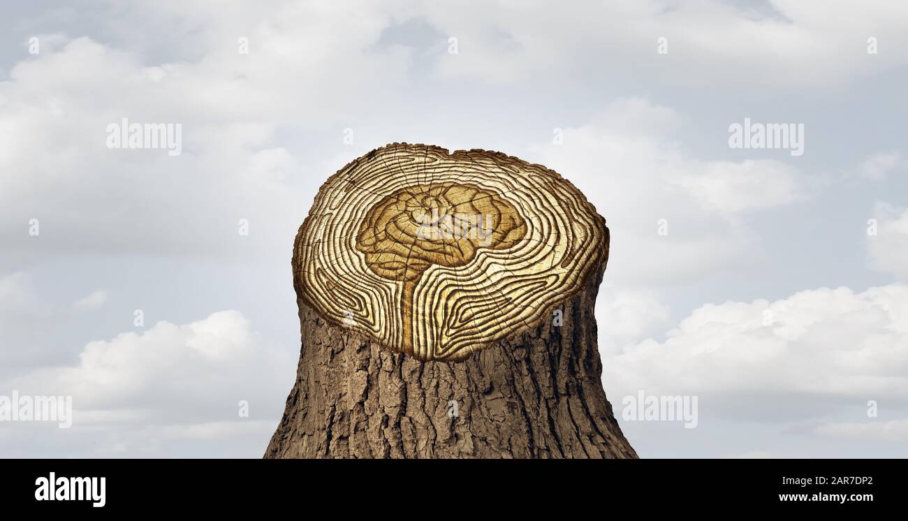 Brain aging or mind ageing as dementia cognitive function and old age ...