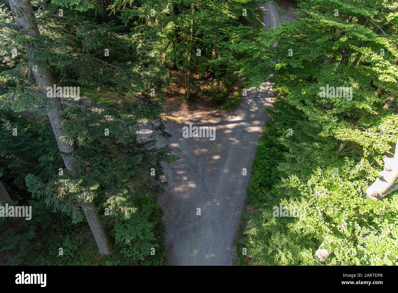 Tree tower, Tree Top Walk, Bavarian Forest National Park, Neuschönau ...
