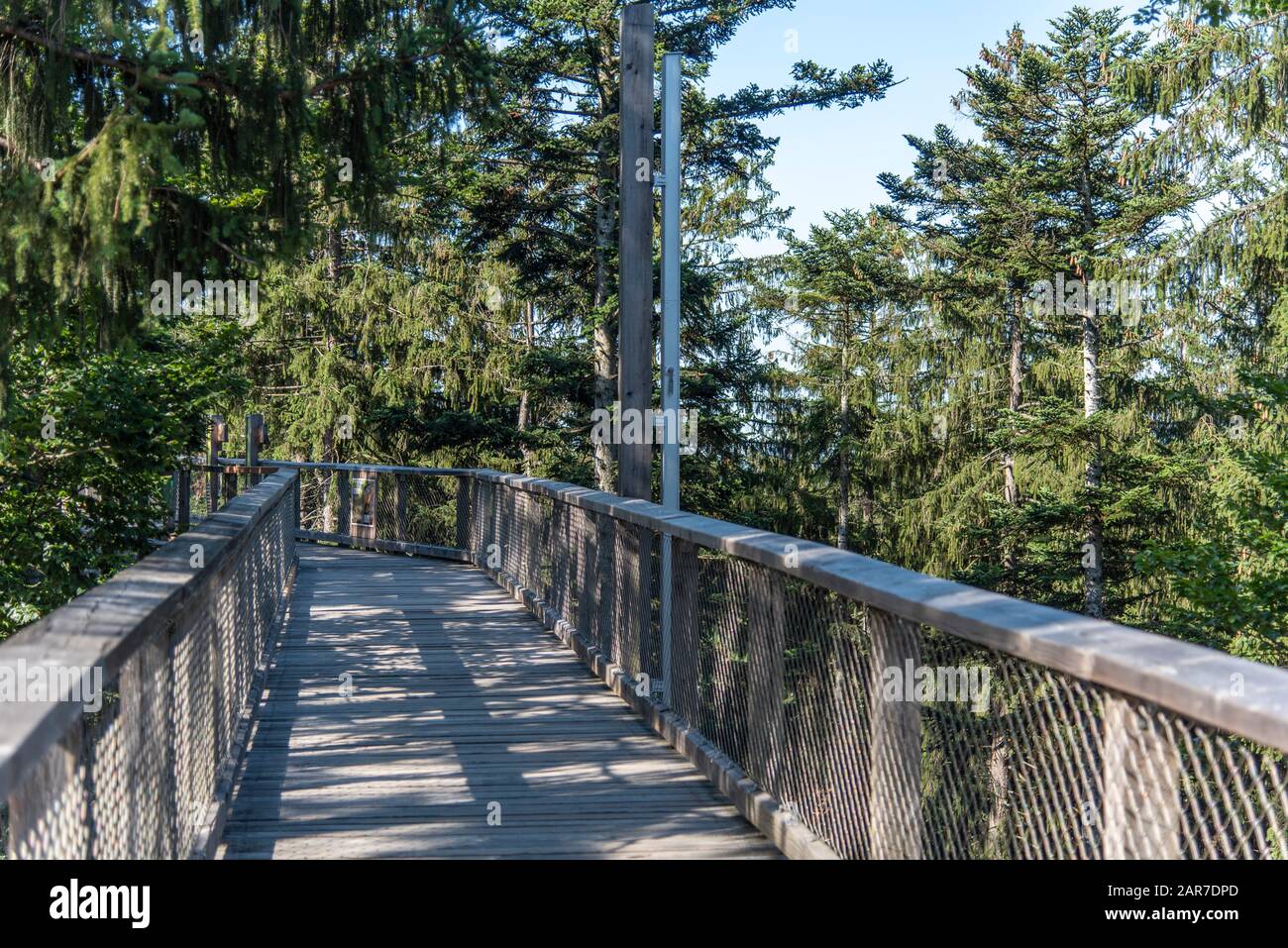 Tree tower, Tree Top Walk, Bavarian Forest National Park, Neuschönau ...