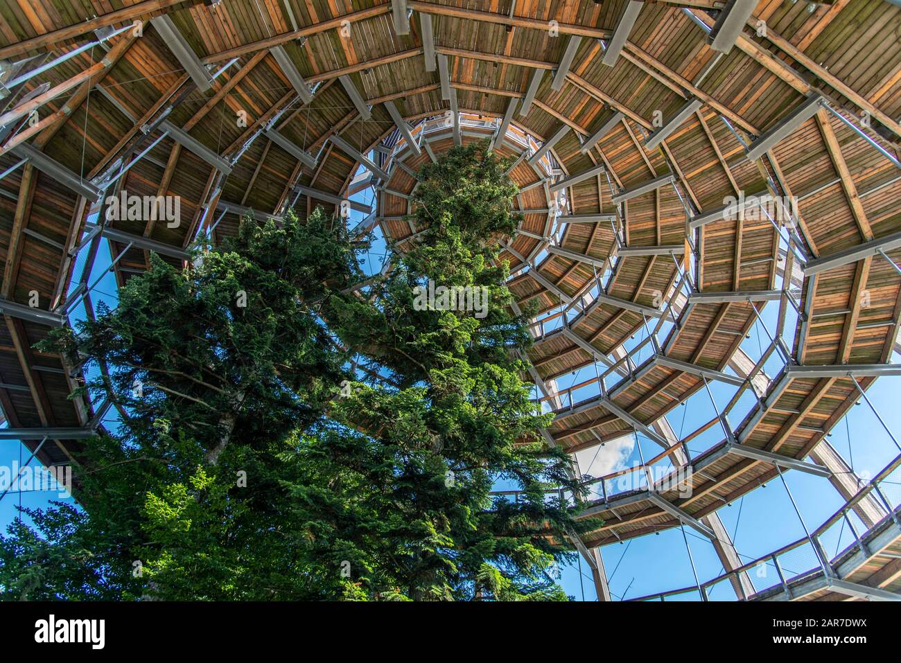 Tree tower, Tree Top Walk, Bavarian Forest National Park, Neuschönau ...