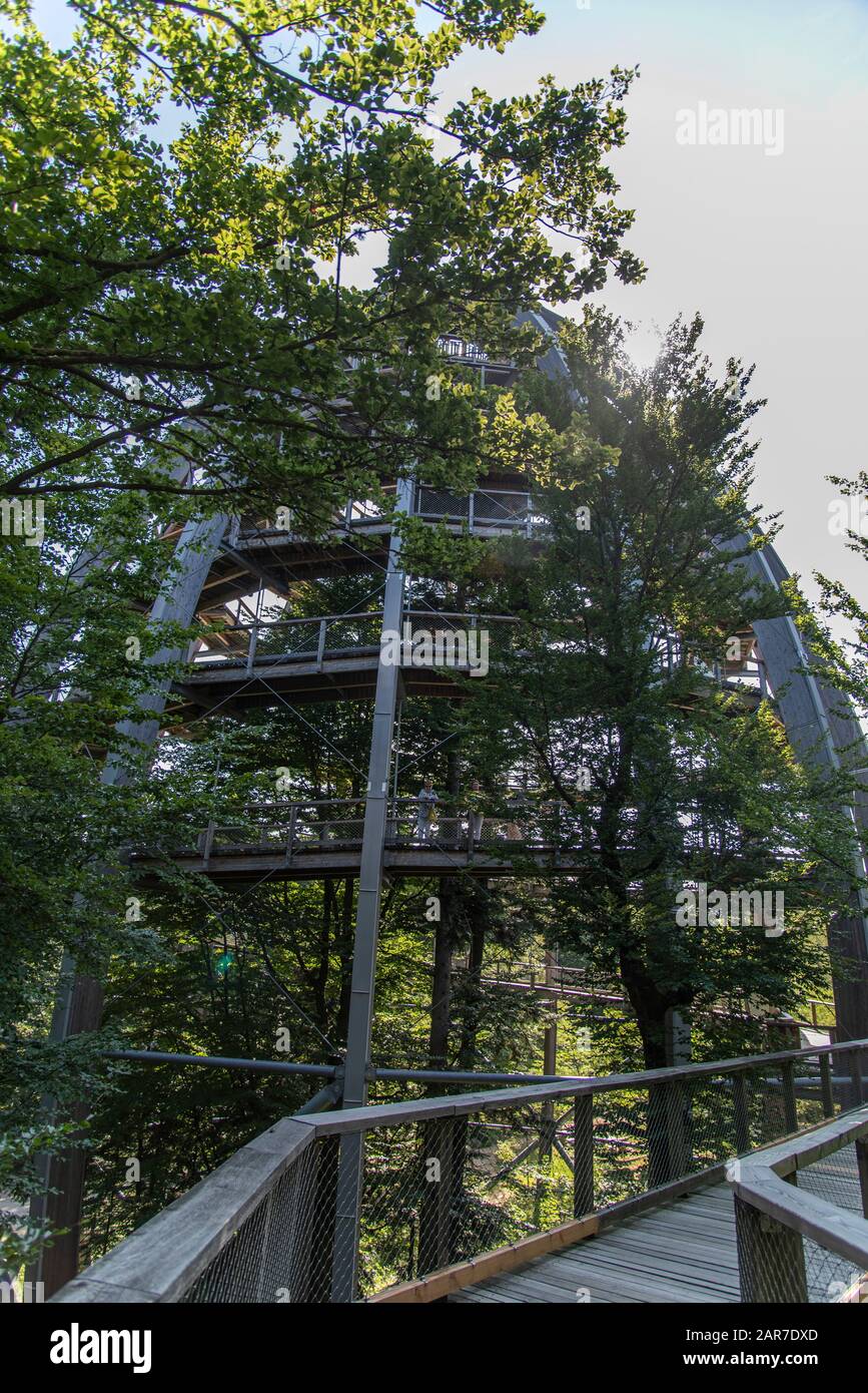 Tree tower, Tree Top Walk, Bavarian Forest National Park, Neuschönau ...