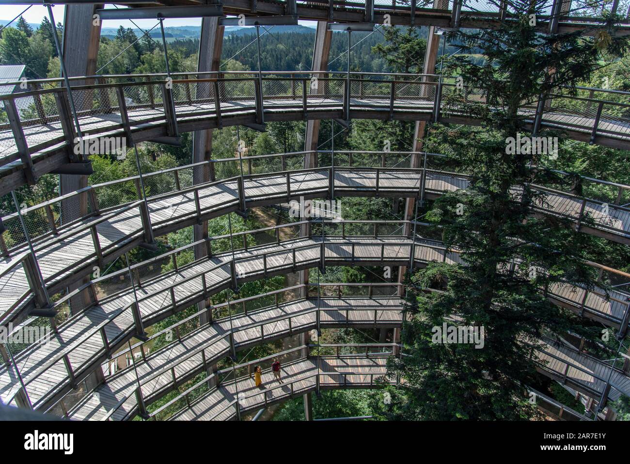 Tree tower, Tree Top Walk, Bavarian Forest National Park, Neuschönau ...