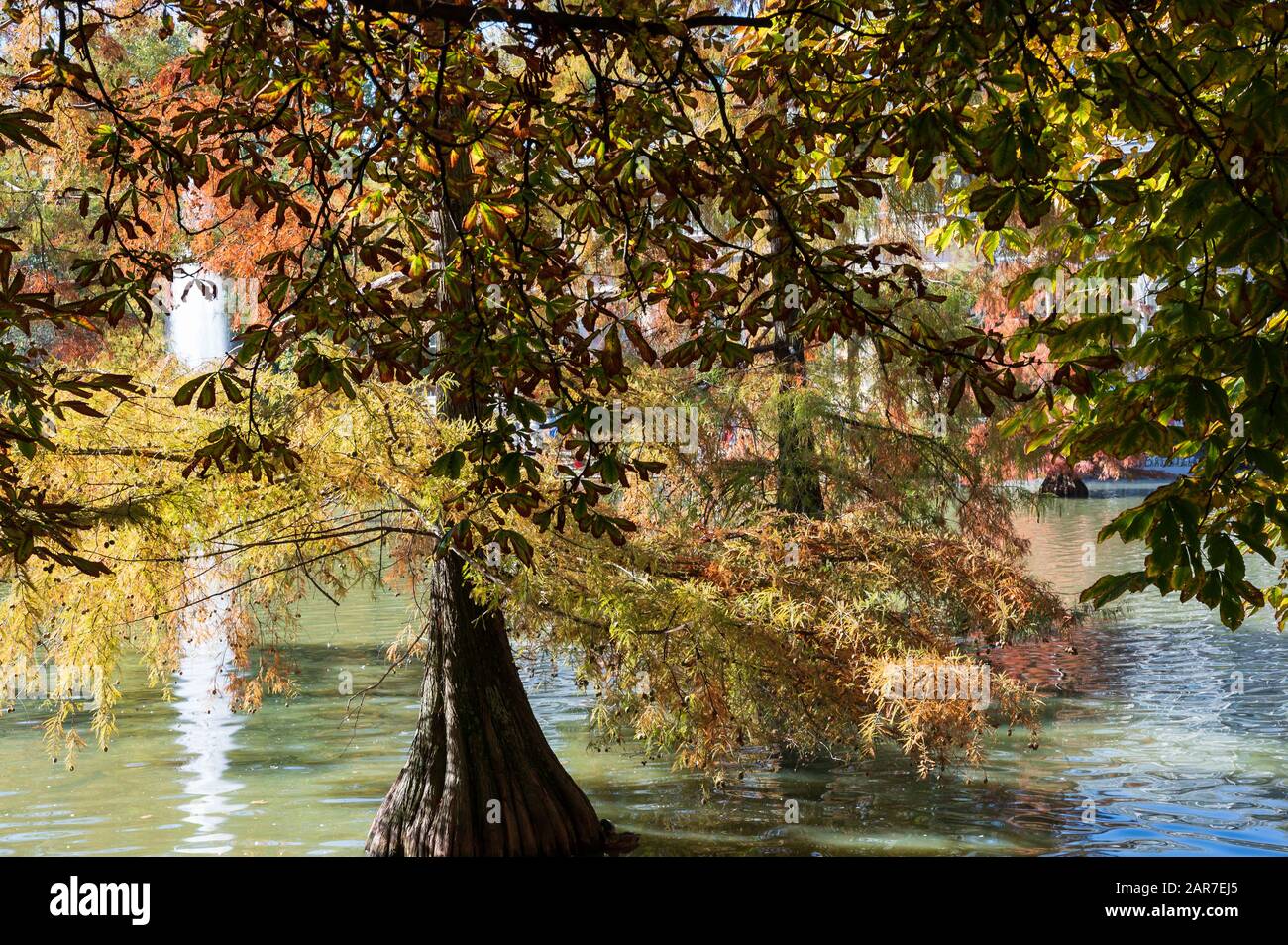 Retiro Park in Madrid with the colors in the autumn trees Stock Photo ...
