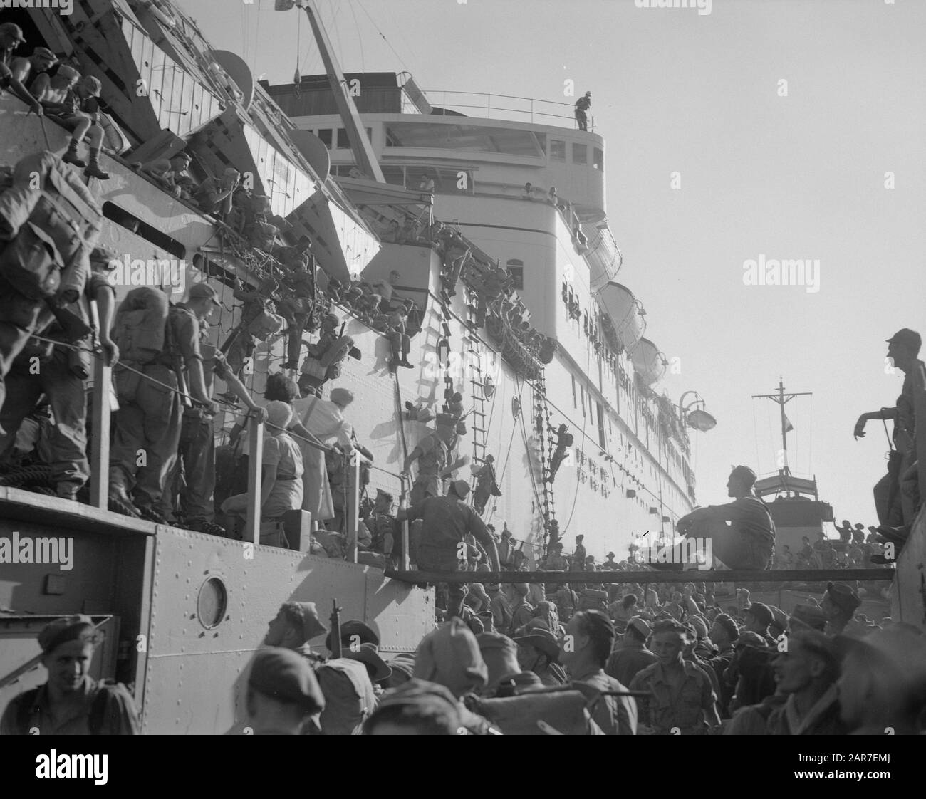 Owv ers hi-res stock photography and images - Alamy