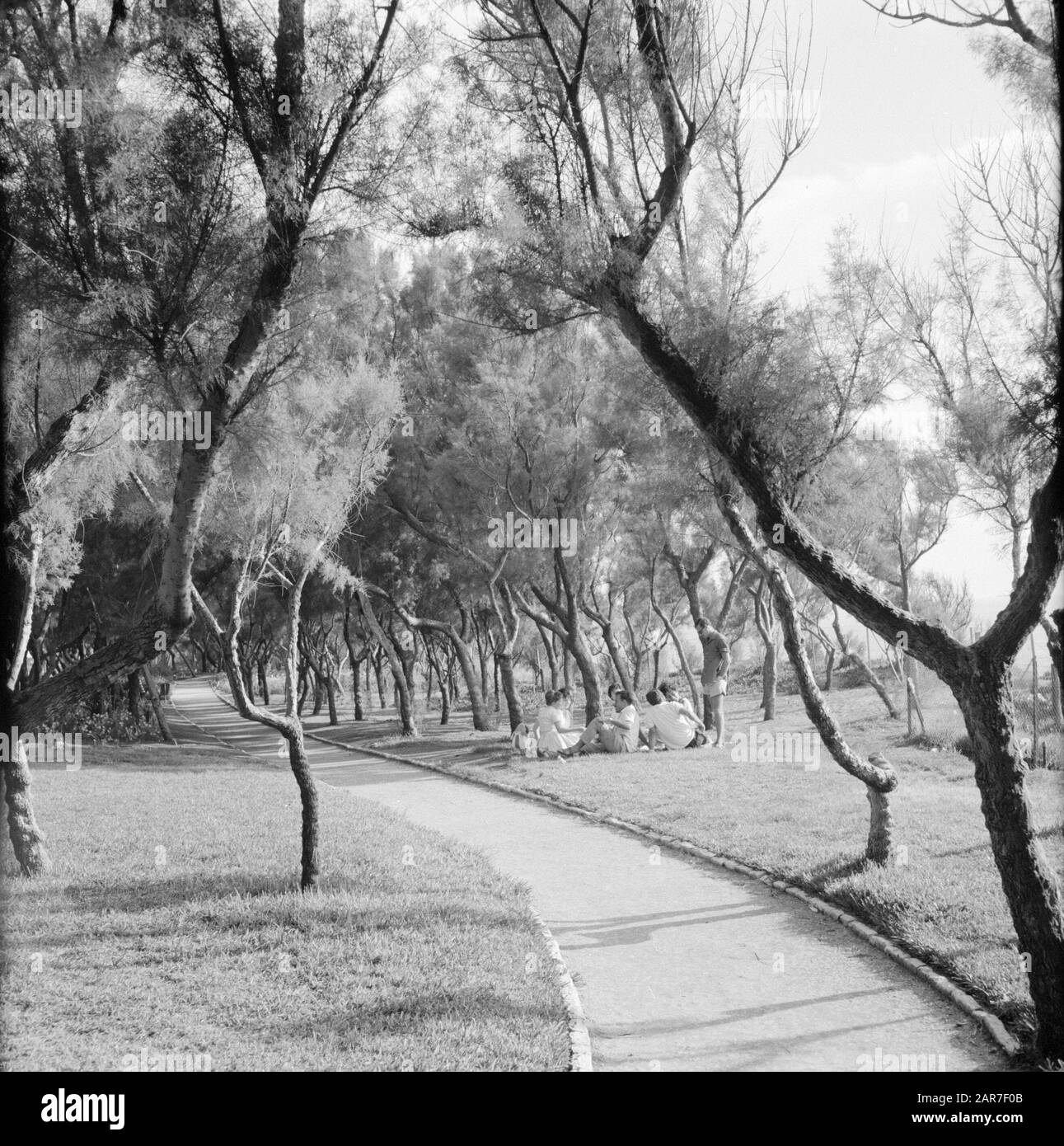 Netanya israel Black and White Stock Photos & Images - Alamy