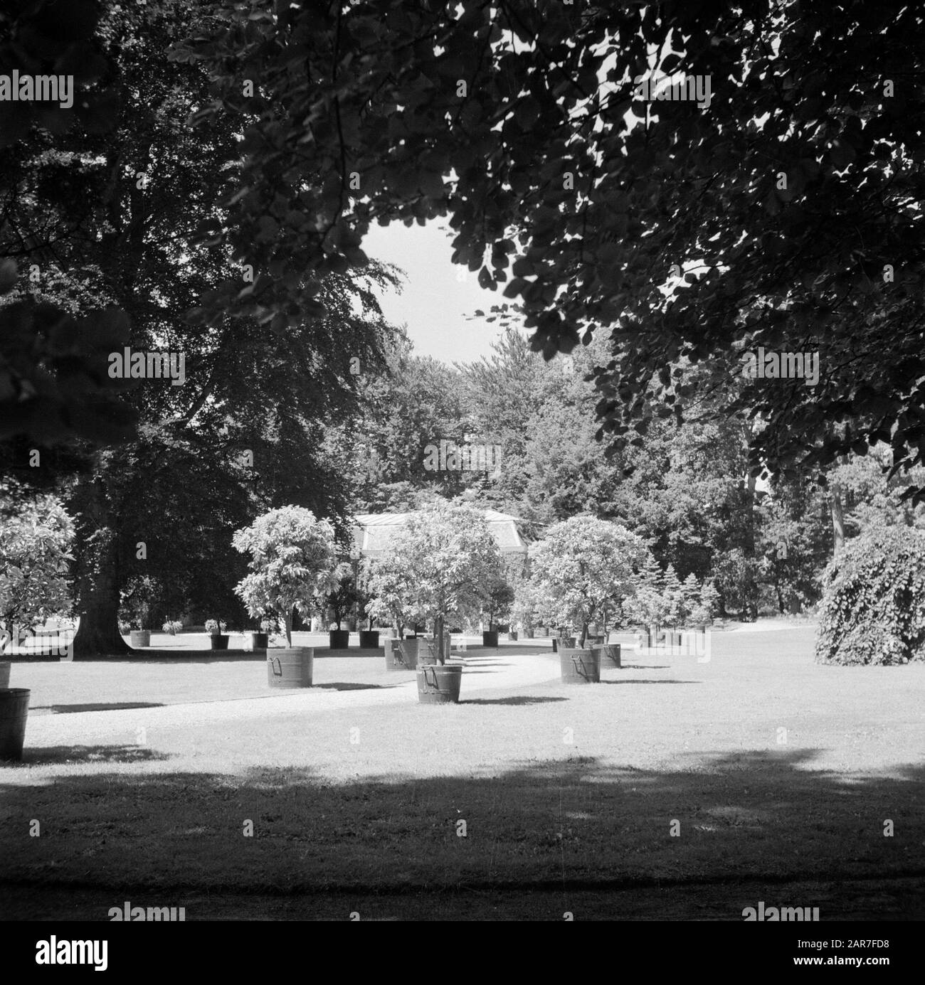 The royal family at palace Soestdijk Panorama of trees in the park of ...